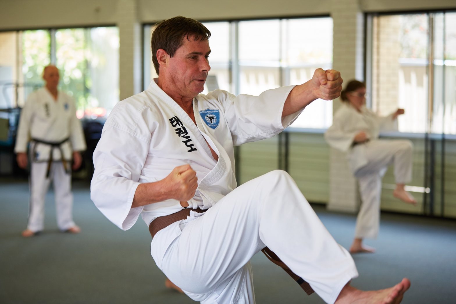 Understanding the Sine Wave in Taekwon-Do - MARTIAL ARTS TRAINING